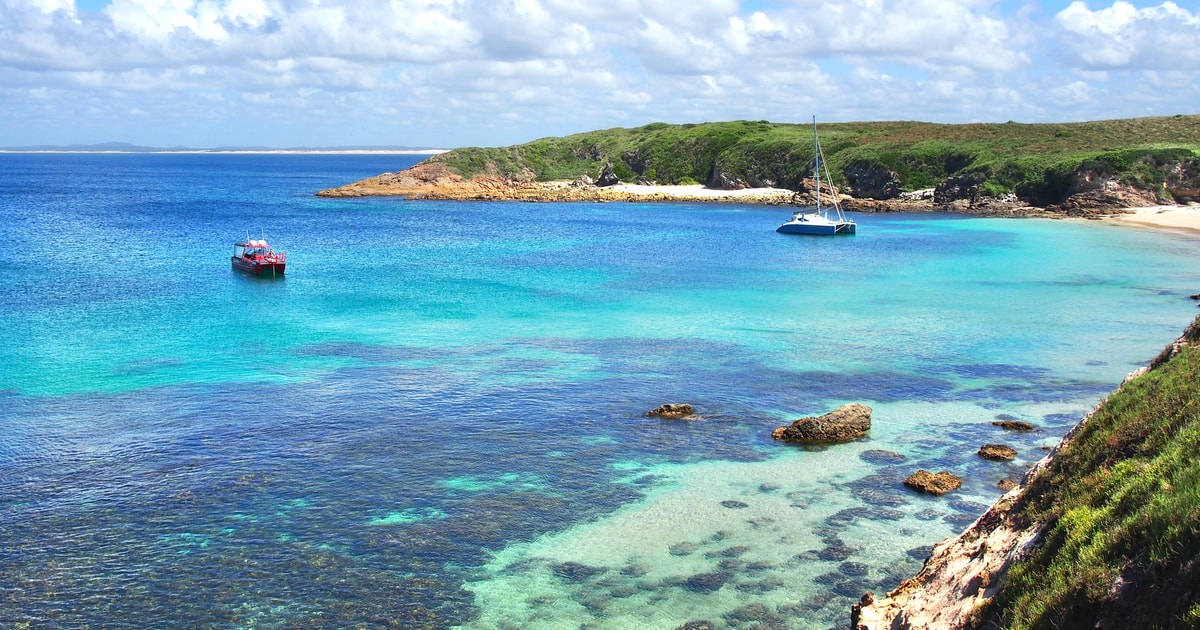 Nelson Bay: Port Stephens Island Snorkel Adventure Cruise | GetYourGuide