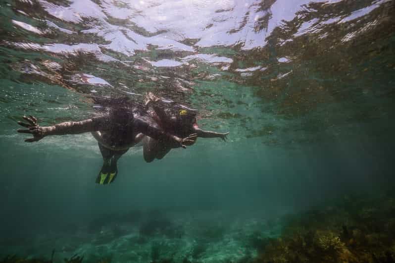 Nelson Bay: Port Stephens Island Snorkel Adventure Cruise | GetYourGuide
