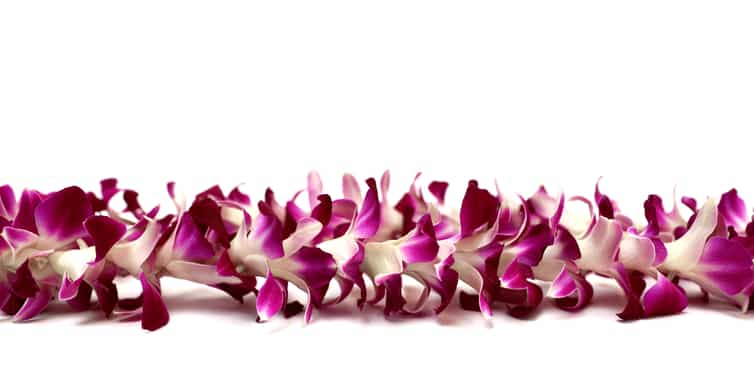 Kahului Airport: Maui Flower Lei Greeting Upon Arrival | GetYourGuide