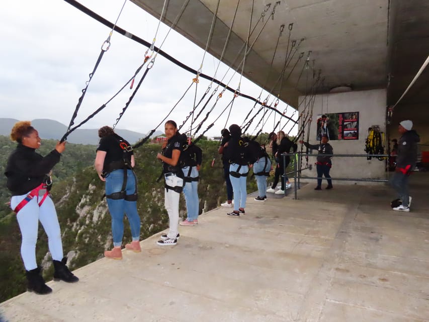 Eastern Cape: Bloukrans Bridge Skywalk Tour and Harness Walk | GetYourGuide