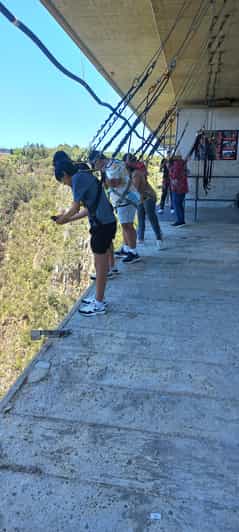 Excursión Bloukrans Skywalk | GetYourGuide
