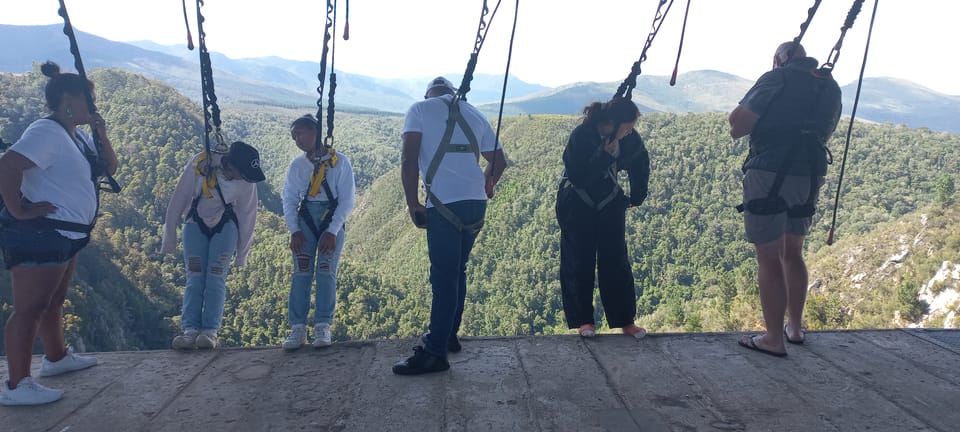 Eastern Cape: Bloukrans Bridge Skywalk Tour and Harness Walk | GetYourGuide