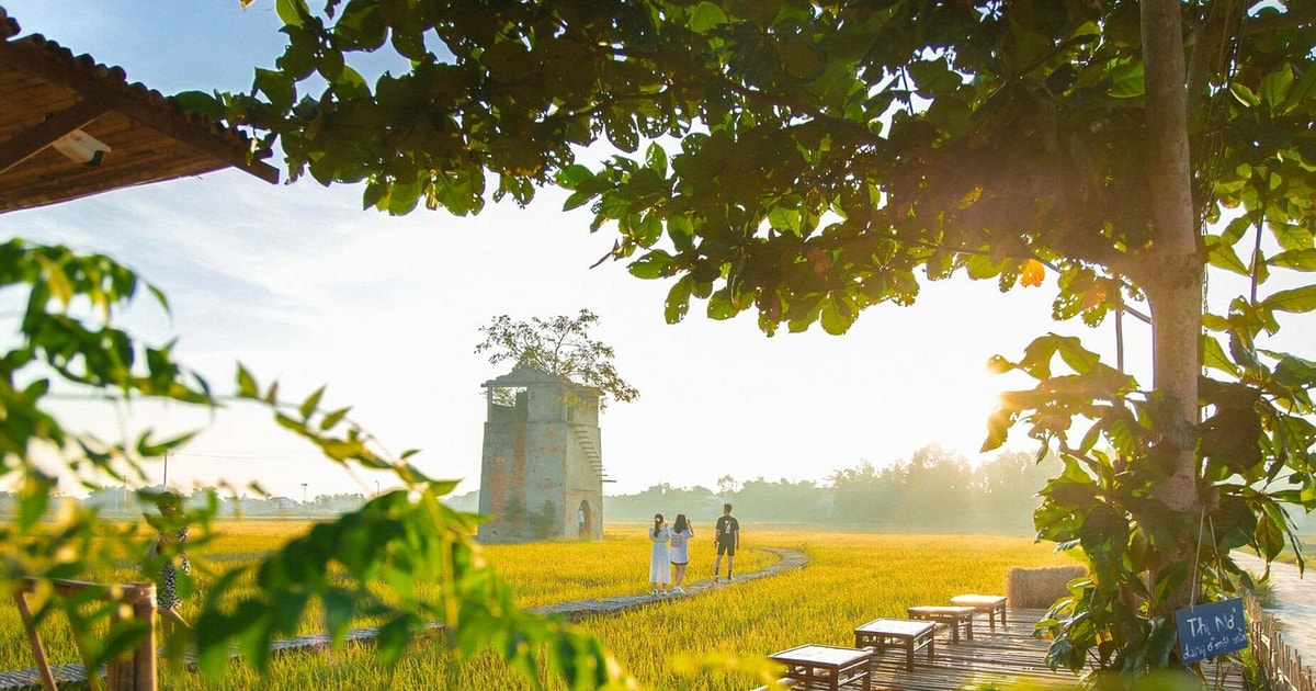 Hoi An: Countryside Tour by Bike with Meal | GetYourGuide
