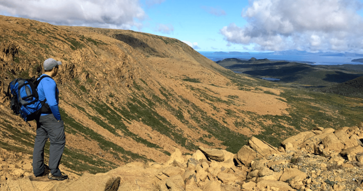 Newfoundland: Blow Me Down Mountains Half Day Hiking Tour | GetYourGuide