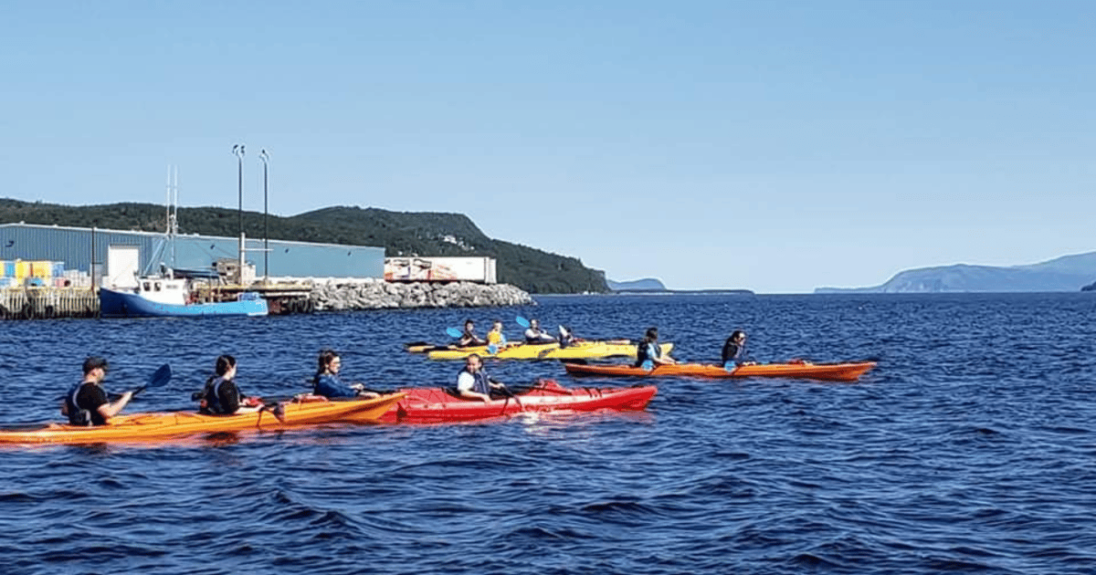 Humber Arm South: Bay of Islands Guided Kayaking Tour | GetYourGuide
