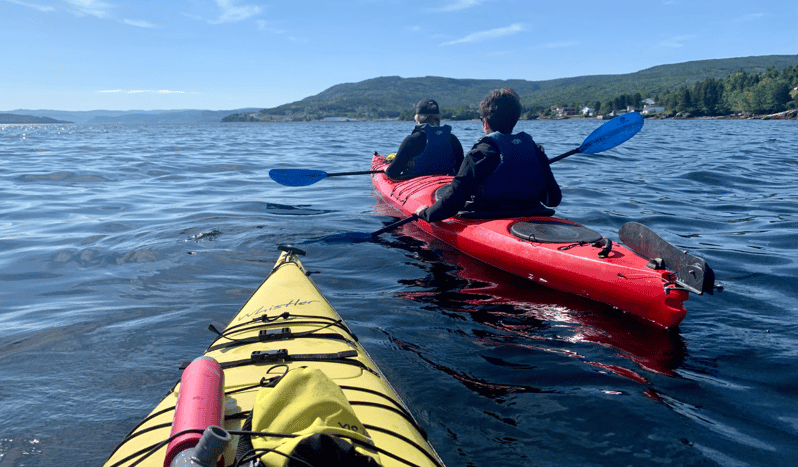 Humber Arm South: Bay of Islands Guided Kayaking Tour | GetYourGuide