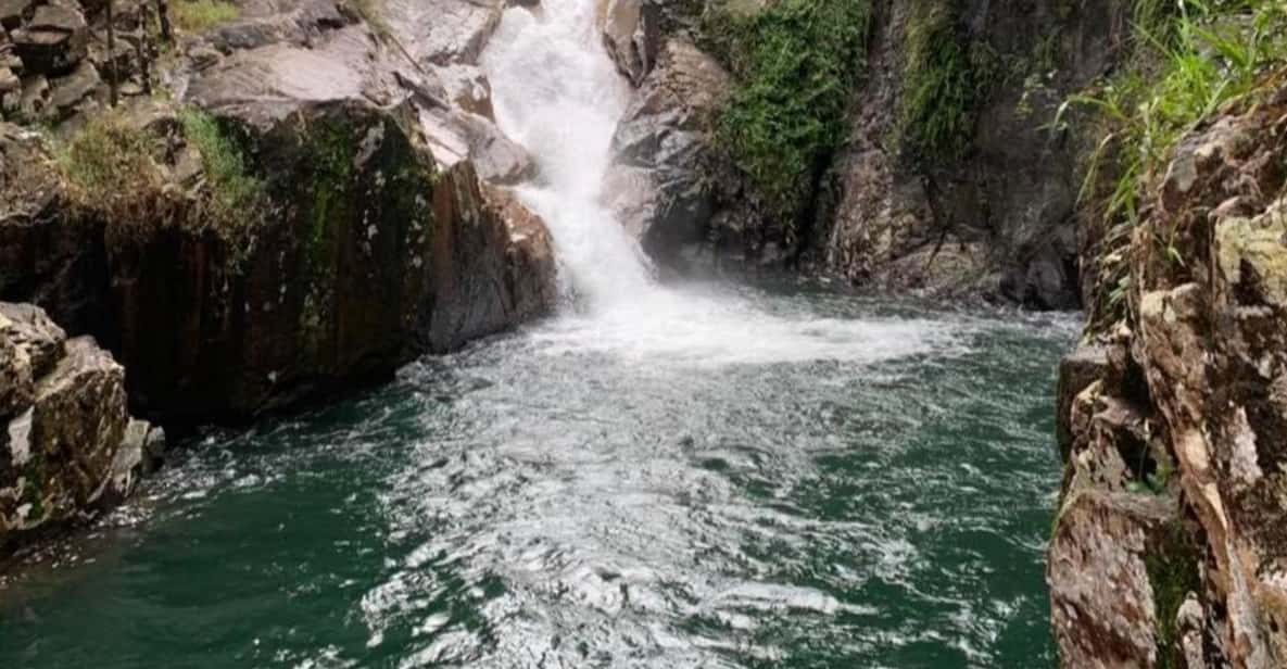 Mackay: Finch Hatton Gorge Hike, Swim & Platypus Adventure | GetYourGuide