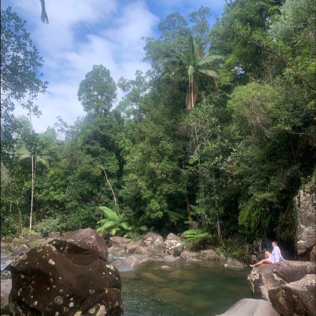 Mackay: Finch Hatton Gorge Hike, Swim & Platypus Adventure | GetYourGuide