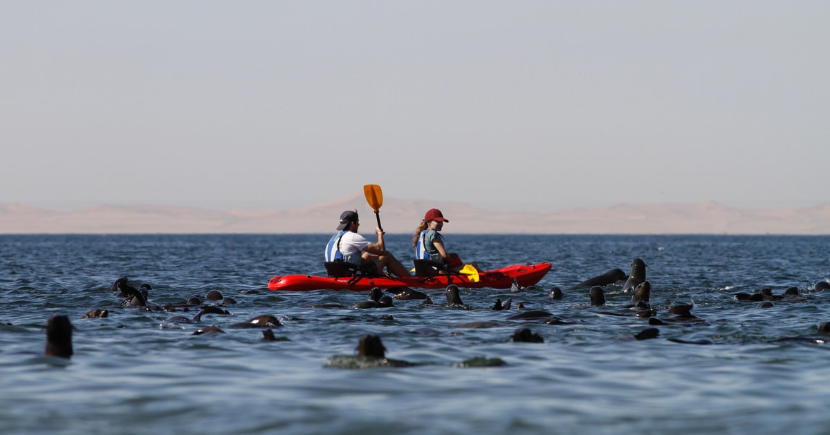 Kayaking Experience with Beach Braai | GetYourGuide