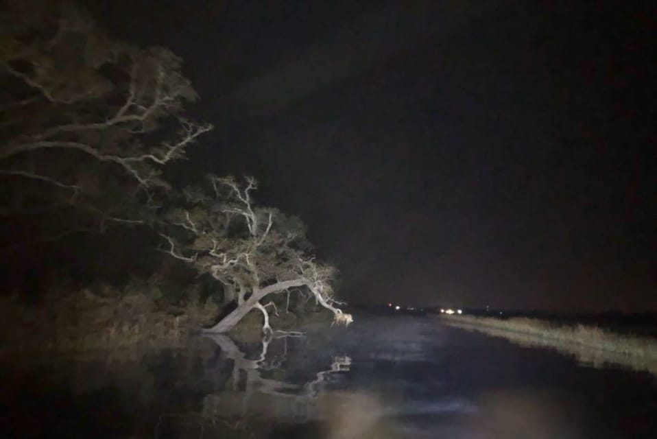 Pearlington, MS: The Haunted Bayou Cruise | GetYourGuide