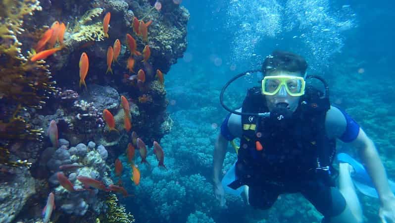 Hurghada: Full-Day Scuba Diving Discovery | GetYourGuide