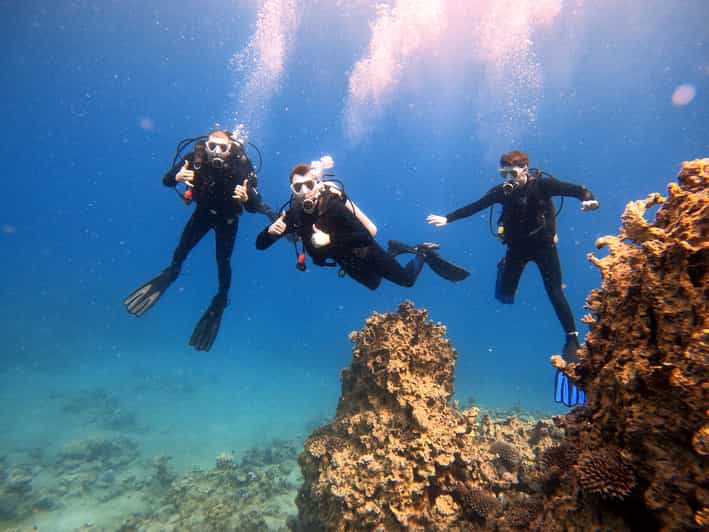 Aqaba: Private Red Sea Diving for Beginner or Experienced | GetYourGuide
