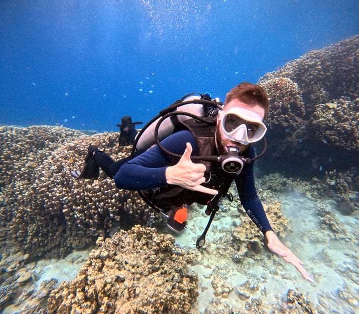 Aqaba: Private Red Sea Diving for Beginner or Experienced | GetYourGuide