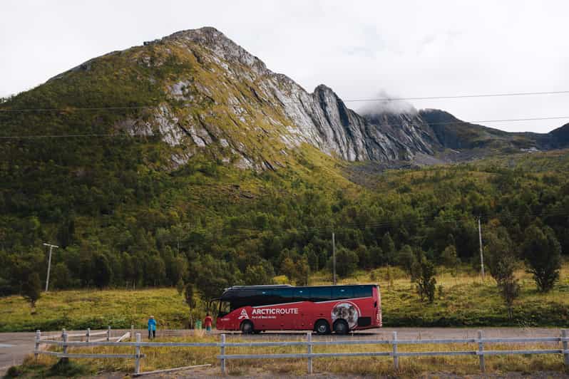 Hop-on/hop-off to 30 places with the Arctic Route in Norway | GetYourGuide
