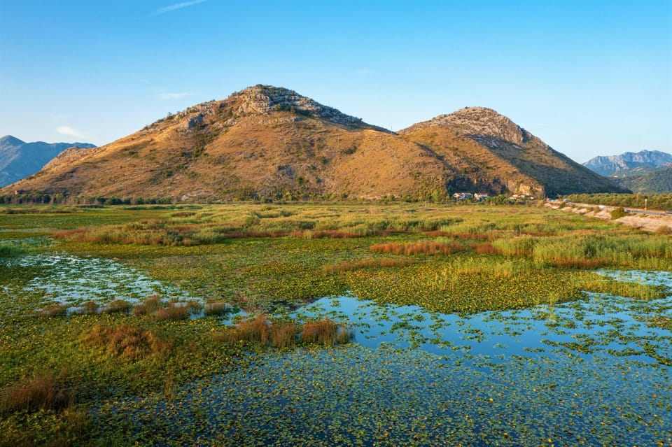 Lago Skadar: Visita la Venezia montenegrina | GetYourGuide