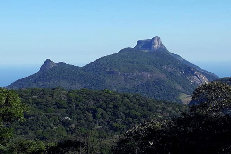 Rio de Janeiro: Tijuca National Park EcoTour | GetYourGuide
