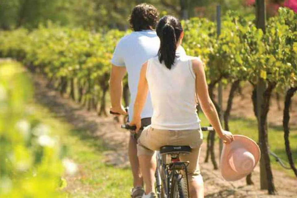 Ulignano: Full day & Truffle Hunting w/ Wine tasting | GetYourGuide