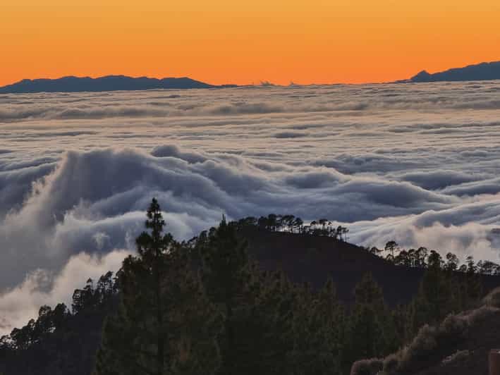 Santa Cruz de Tenerife: Mount Teide Self-Drive Tour & Guide | GetYourGuide