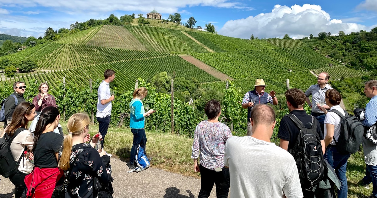Big 5 Winetasting - Geführte Weinberg-Weinwanderungen | GetYourGuide