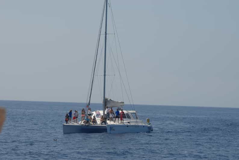 Funchal: Private Catamaran Tour with Dolphin Watching | GetYourGuide