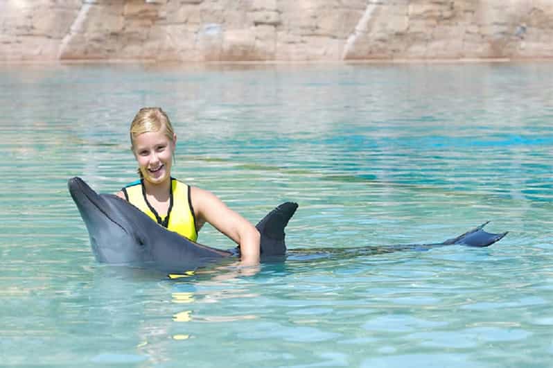 Dolphin Park Entry Ticket with Transfers from Alanya or Side | GetYourGuide