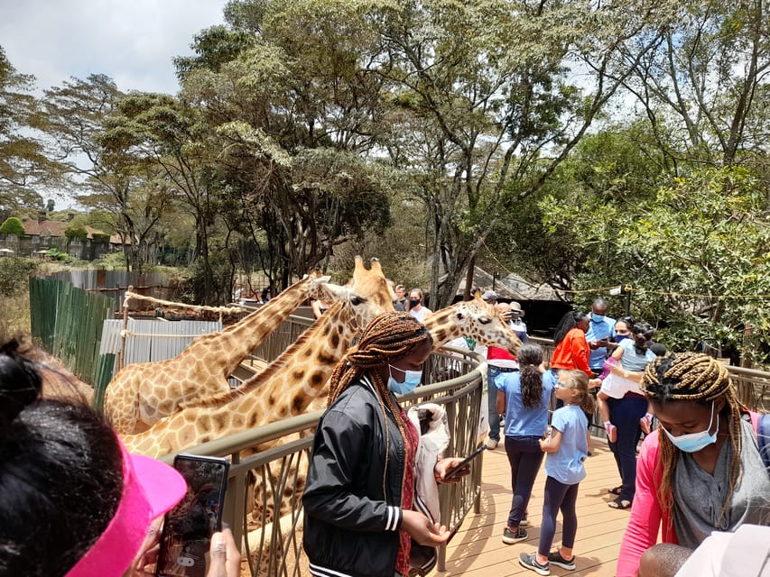 Desde Nairobi: Excursión al Orfanato de Elefantes y al Centro de ...