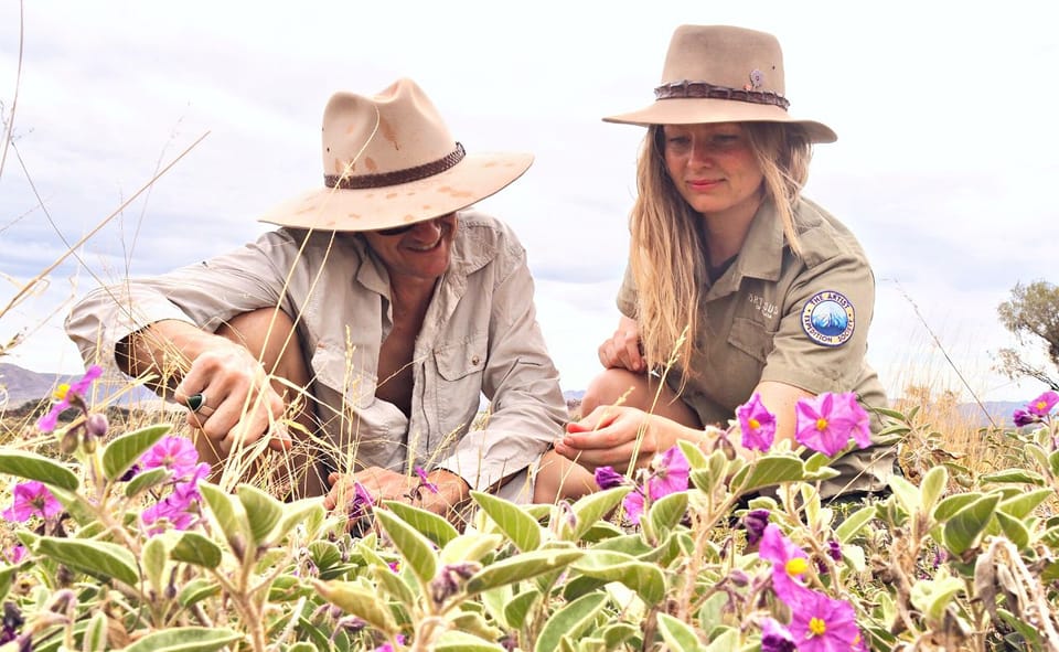 Alice Springs: Simpsons Gap Sunset Watercolor Painting Class | GetYourGuide