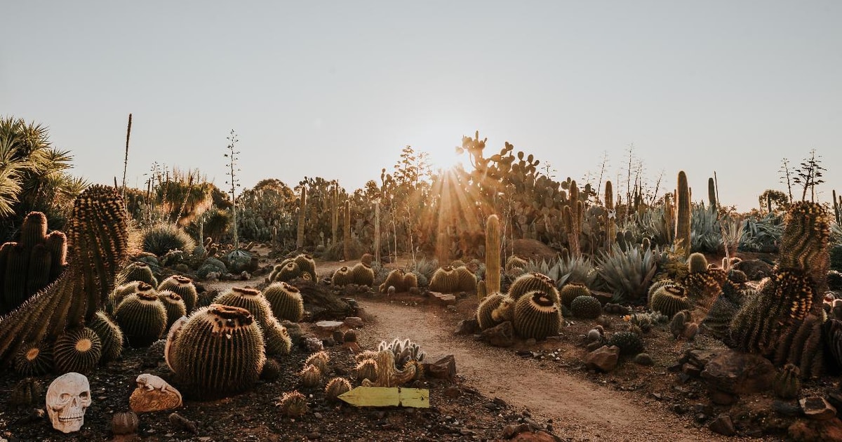 Cactus Country: Entry Ticket | GetYourGuide