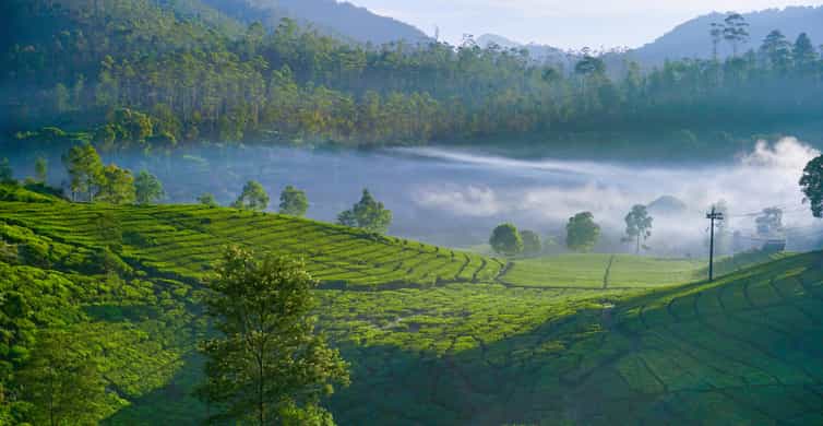 From Jakarta: Highlights of Java Guided Eight-Day Tour | GetYourGuide