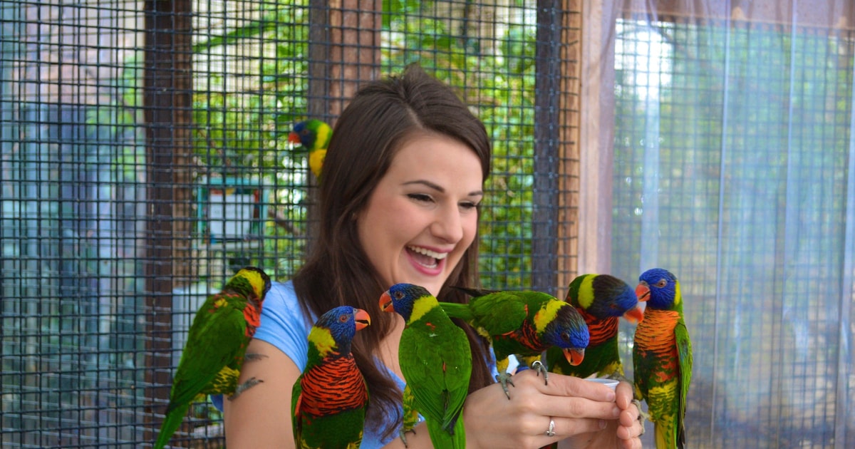 Niagara Falls, Canada: Bird Kingdom Entry Ticket | GetYourGuide