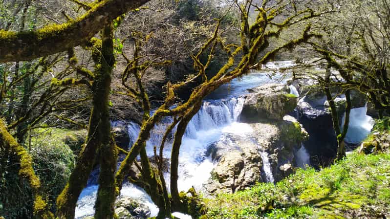 Kutaisi: Martvili & Okatse Canyon Tour with Prometheus Cave | GetYourGuide