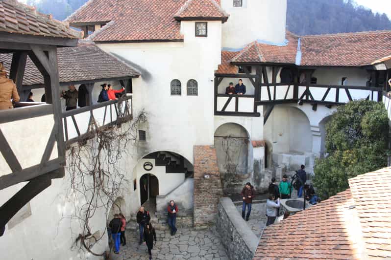 From Bucharest: Bran Castle and Peleș Castle Guided Day Trip | GetYourGuide