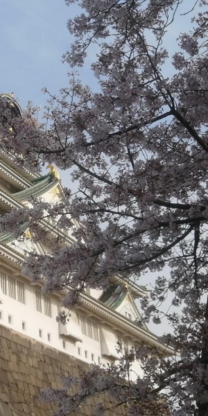 Osaka: Five Must-See Highlights Walking Tour & Ramen Lunch | GetYourGuide