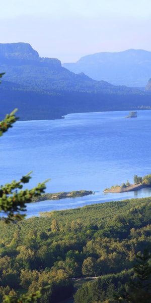 From Portland: 7 Wonders of the Gorge Jetboat Cruise | GetYourGuide