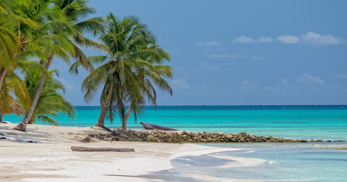 From Punta Cana: Saona Island Full-Day Catamaran Tour | GetYourGuide