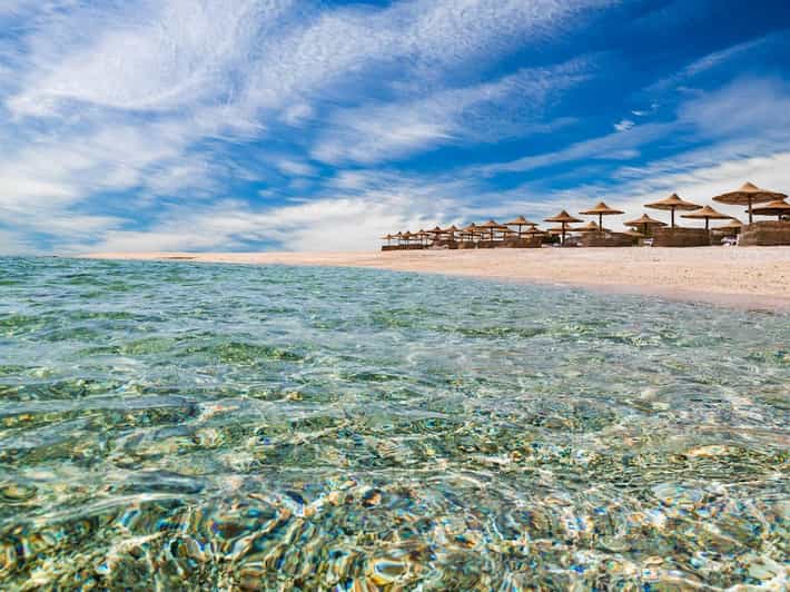 From Hurghada: Abu Dabab Beach and Marsa Alam Full-Day Tour | GetYourGuide