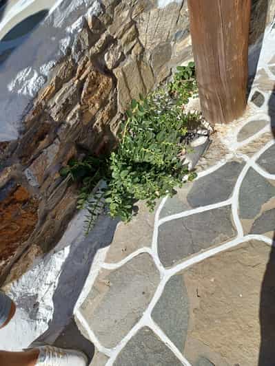 From Lefkada: 1-Week Island Hopping Sailing Boat Cruise | GetYourGuide