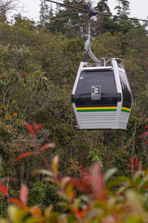 Medellin: Arvi Park, Cable Car & Water Streams Tour | GetYourGuide