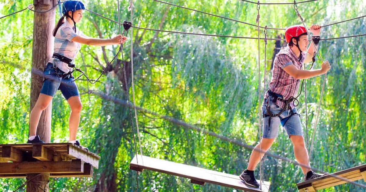 Medellín: Parque Arvi, Teleférico y Tour de las Cascadas con Merienda ...