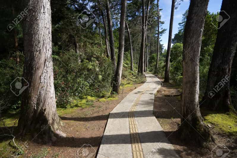 Medellín: Tour de la ciudad por el Jardín Botánico y el Parque Arvi ...
