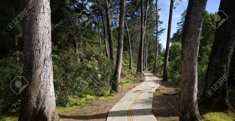 Medellín: Botanischer Garten und Comuna 4 Tour mit Museum | GetYourGuide