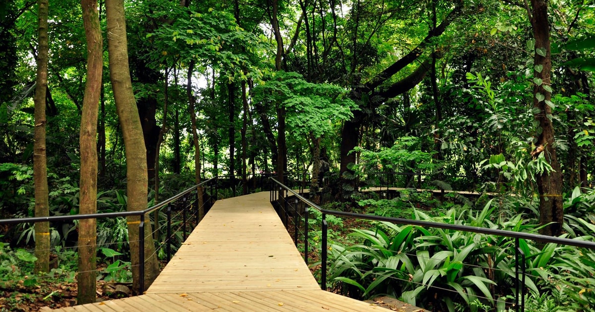 Medellín: Botanical Garden and Comuna 4 Tour with Museum | GetYourGuide