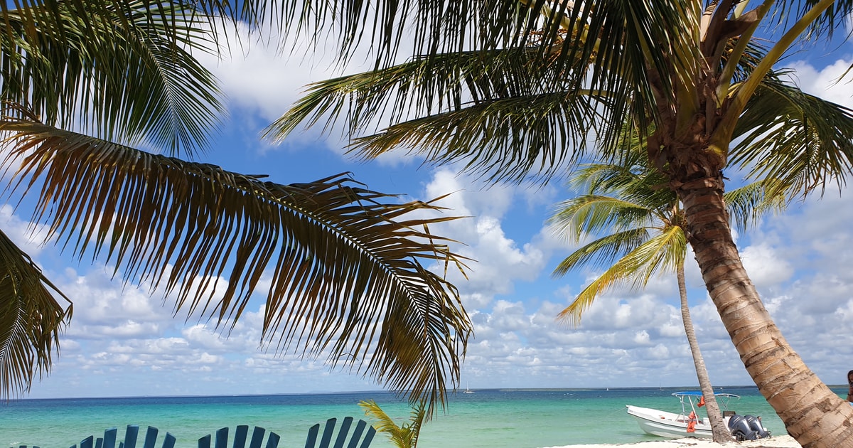 Punta Canából: Saona Island Boat és Dune Buggy Combo Tour | GetYourGuide