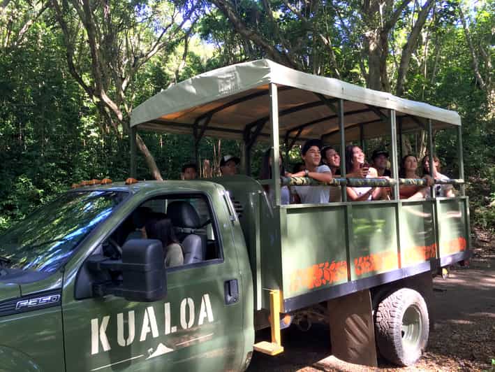 Oahu: Kualoa Movie Sites, Jungle, and Buffet Tour Package | GetYourGuide