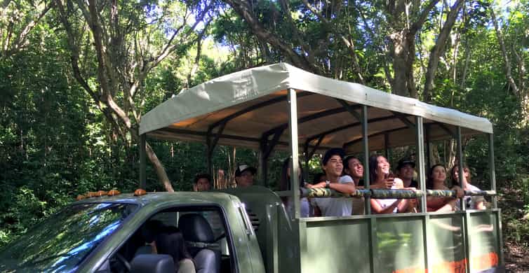 Oahu: Kualoa Movie Sites, Jungle, and Buffet Tour Package | GetYourGuide