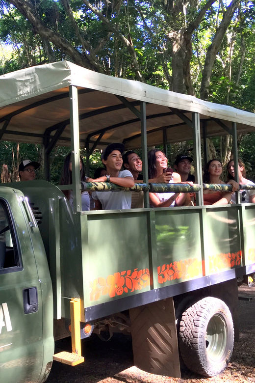 Oahu: Kualoa Movie Sites, Jungle, and Buffet Tour Package | GetYourGuide