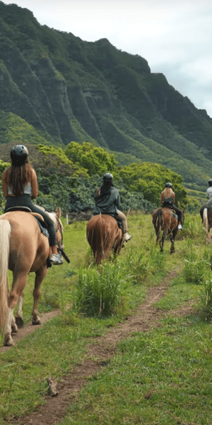 Oahu: Kualoa Hills and Valleys Horseback Riding Tour | GetYourGuide