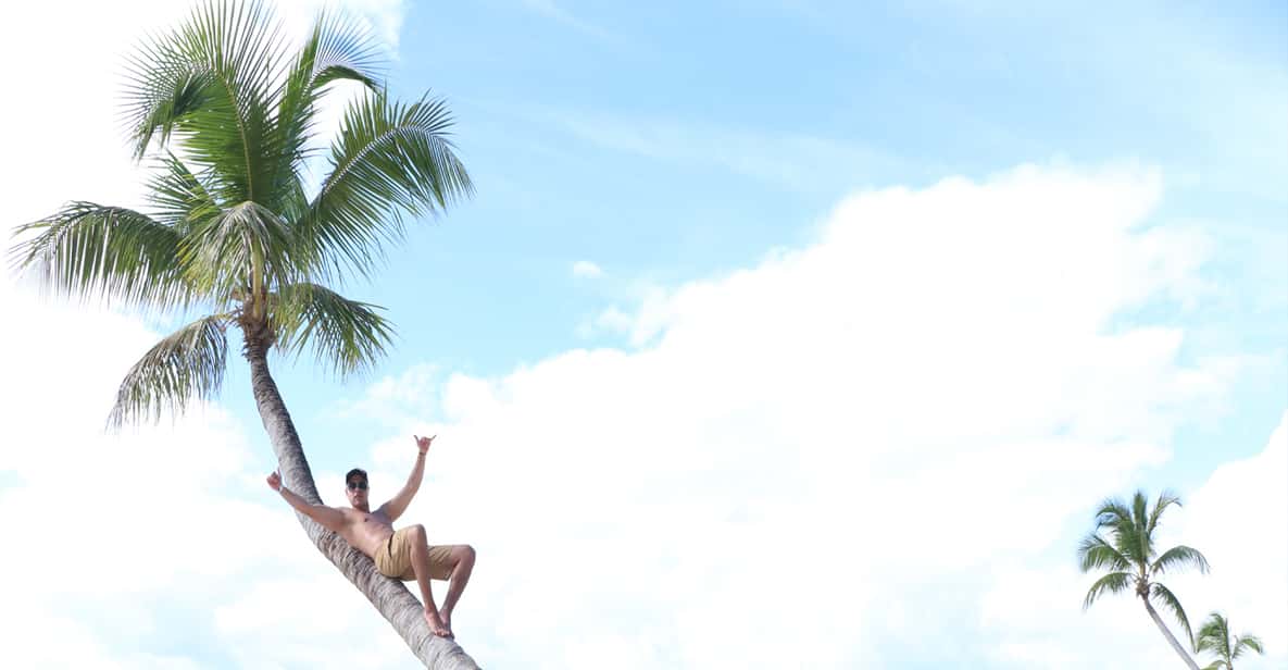 From Punta Cana: Day Tour to Saona Island with Buffet Lunch | GetYourGuide