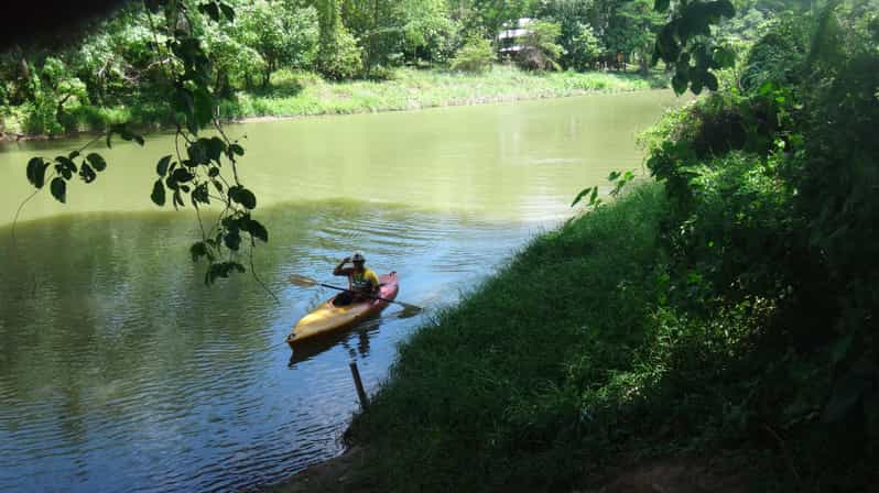 Από το Τσιάνγκ Μάι: Mae Taeng: Mae Taeng Forest Full-Day River Kayaking ...