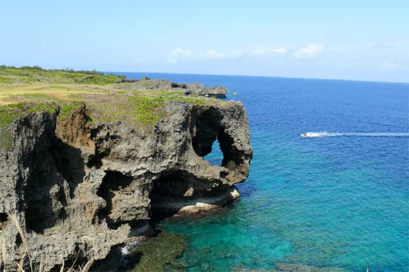 Naha: North Okinawa Sightseeing Tour & Churaumi Aquarium | GetYourGuide